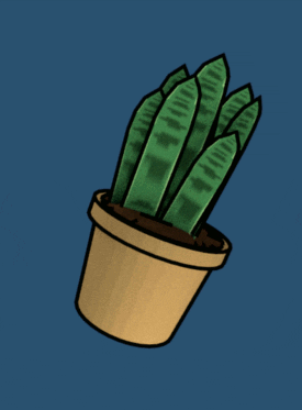 Snake-plant GIFs - Get the best GIF on GIPHY