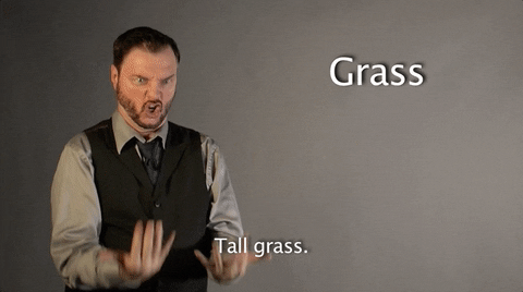 Sign Language Grass GIF by Sign with Robert - Find & Share on GIPHY