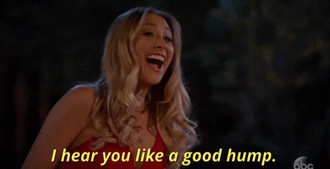 A-good-hump GIFs - Get the best GIF on GIPHY