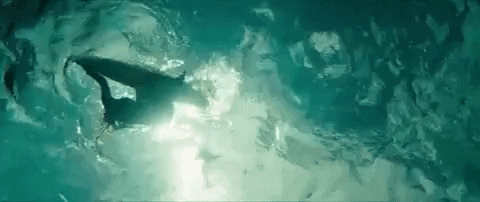 Sony Home Ent GIF by The Shallows - Find & Share on GIPHY