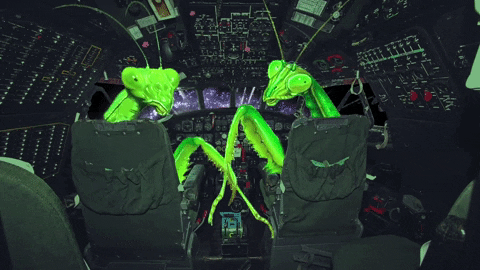 Shooting Praying Mantis GIF by Blossöm Records - Find & Share on GIPHY