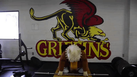 Mascot Griffins GIF by Gwynedd Mercy University - Find & Share on GIPHY