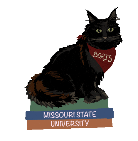Missouri State University GIFs on GIPHY - Be Animated