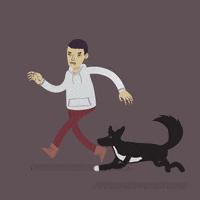 Running Puppy Gif
