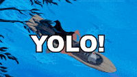 Yolo Tumblr Gif