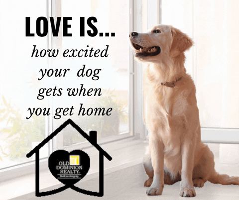 Friday Realtors GIFs - Get the best GIF on GIPHY