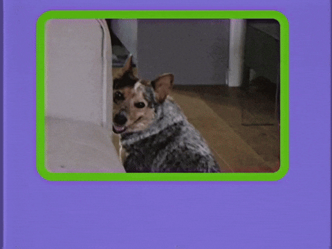 GIPHY Studios 2022 GIFs on GIPHY - Be Animated