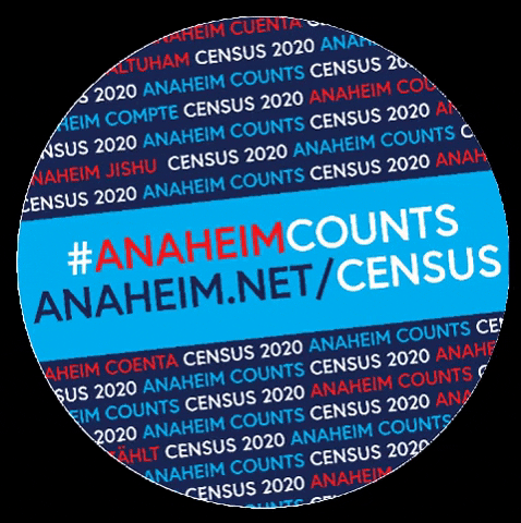 2020-census GIFs - Get the best GIF on GIPHY