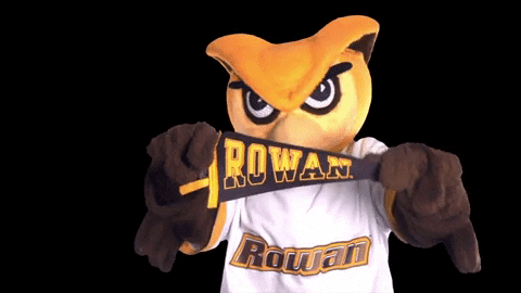 Ncaa Mascot GIF by Rowan University - Find & Share on GIPHY