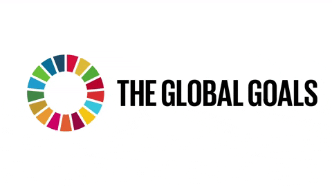The-global-goals GIFs - Get the best GIF on GIPHY