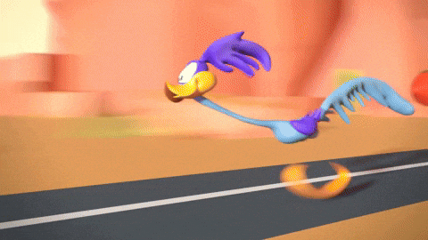 Wile E Coyote And Roadrunner Gif