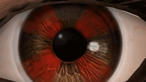 Eye GIF - Find & Share on GIPHY