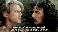 Princess Bride Quicksand Gif