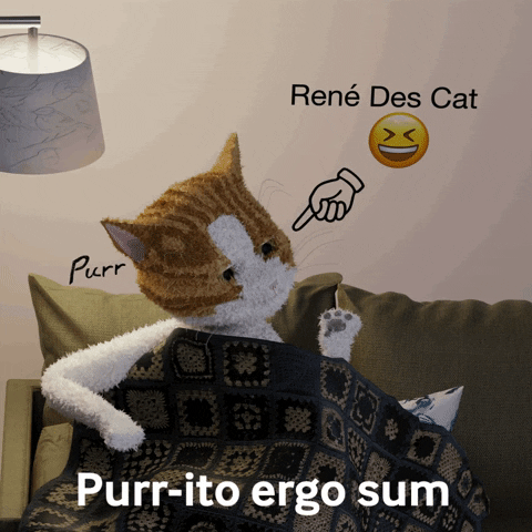 Kitten Purring Gif
