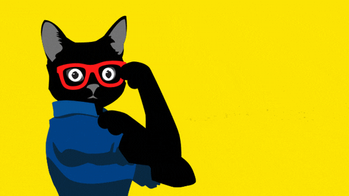 Motivational Cat GIFs - Get the best GIF on GIPHY