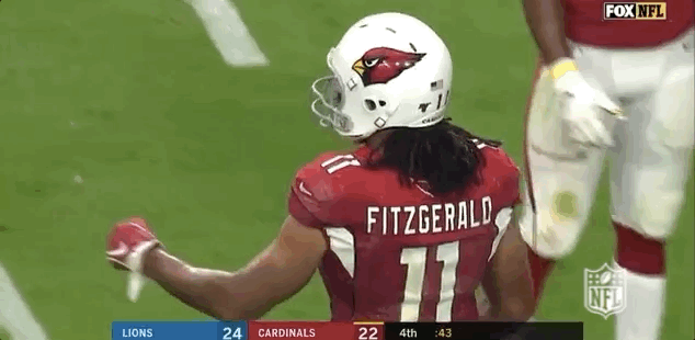 Arizona Cardinals Football GIF by NFL - Find & Share on GIPHY