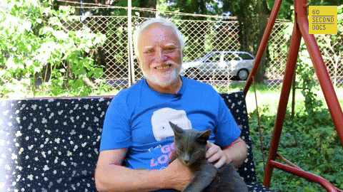 Hide-your-pain-harold GIFs - Get the best GIF on GIPHY