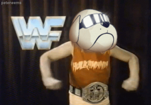 Winner Wwf GIF by Hoge Finance - Find & Share on GIPHY