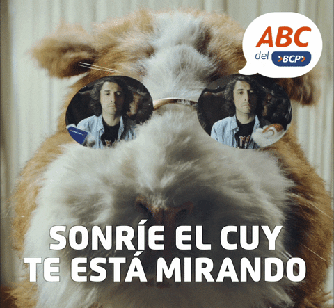 Cuysejo Abcdelbcp GIF by BCP - Find & Share on GIPHY