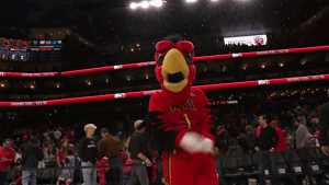 Atlanta Hawks Lol GIF by NBA - Find & Share on GIPHY