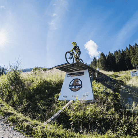 Downhill Bike GIFs - Get the best GIF on GIPHY
