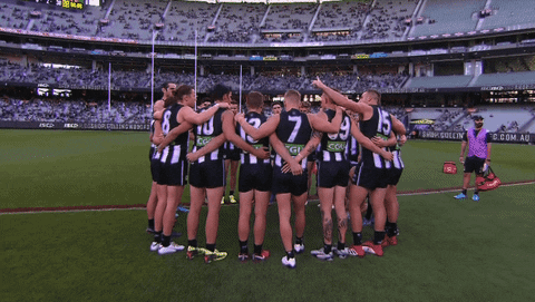 Football Afl GIF by CollingwoodFC - Find & Share on GIPHY