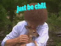 Chillin Gif
