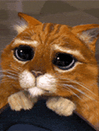 Sad Cat Eyes Gif