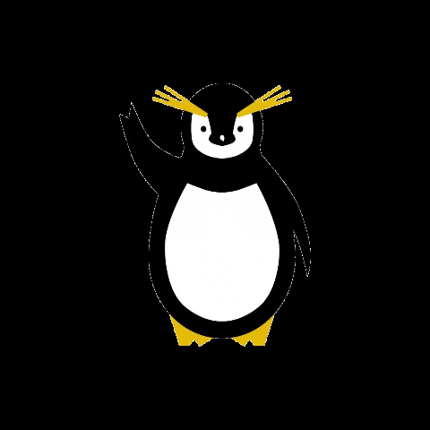 Rockhopper Socks GIFs on GIPHY - Be Animated