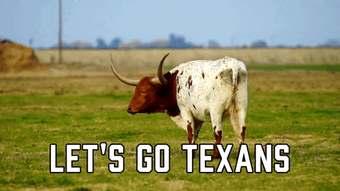 Go Texans GIFs - Get the best GIF on GIPHY