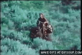 Buffalo GIFs - Find & Share on GIPHY