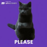 Please Cat Gif