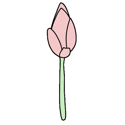 Flower Blooming Gif Transparent
