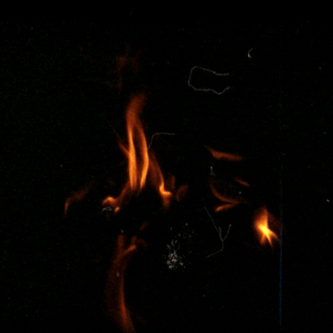 Camp Fire GIF by Hunter Preston - Find & Share on GIPHY