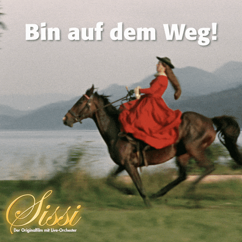 Reite GIFs - Get the best GIF on GIPHY