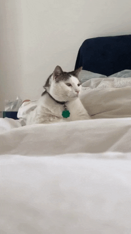 Happy Chips GIF by See and Feel - Find & Share on GIPHY