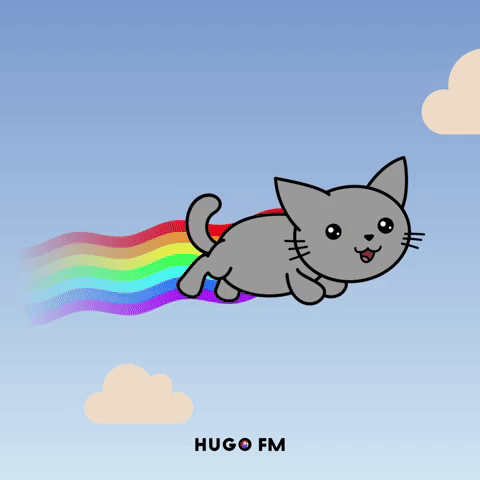 Flying Cats Gif