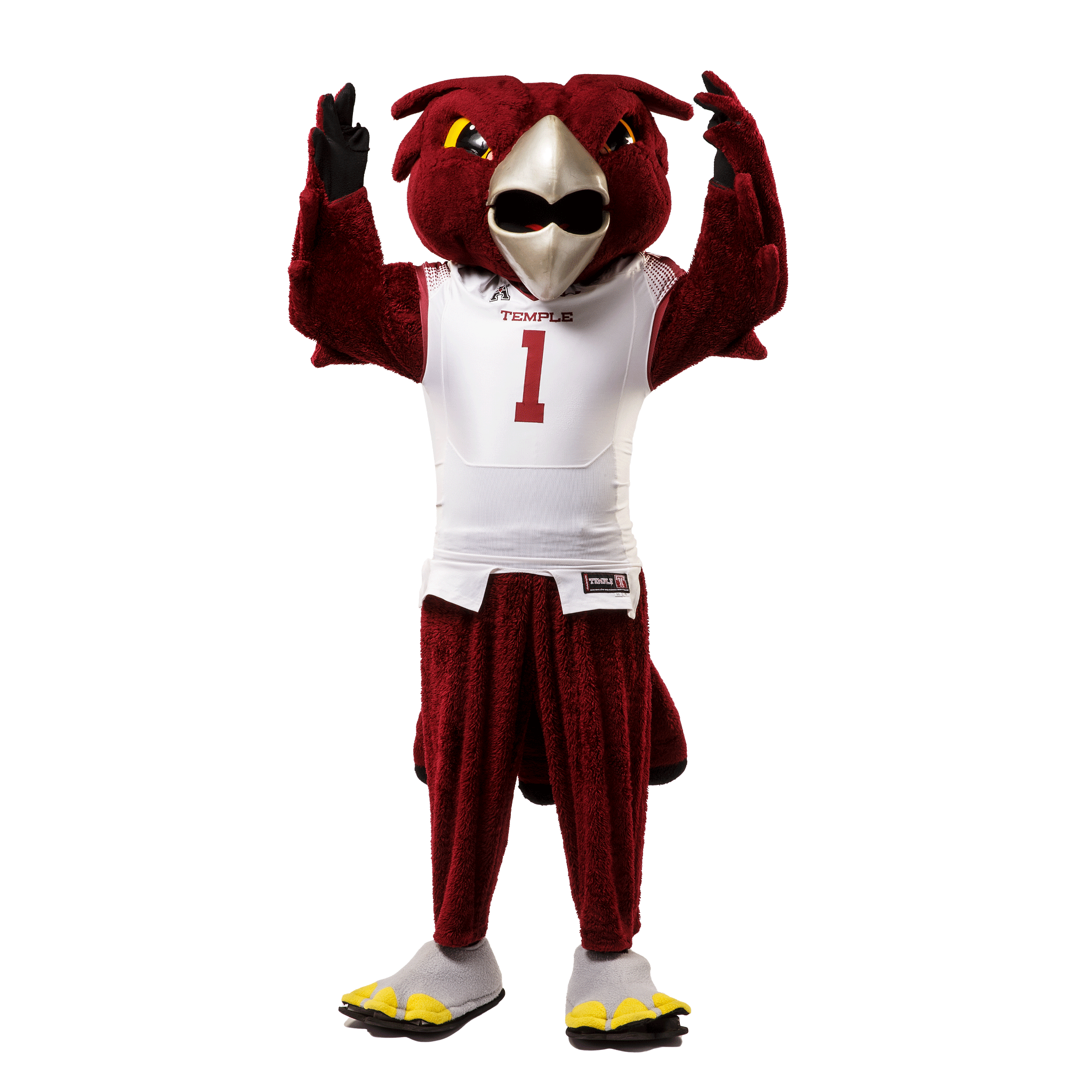 Temple Owls Sticker by Temple University for iOS & Android | GIPHY