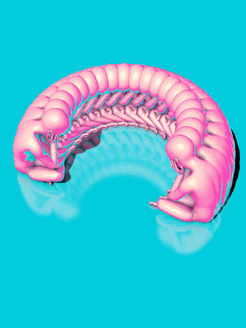 Animation Design GIF by Borrachas - Find & Share on GIPHY