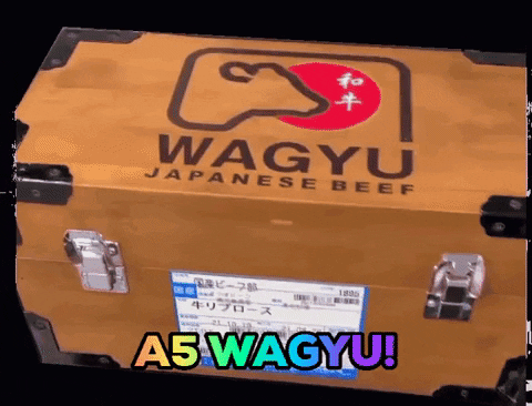 A5-wagyu GIFs - Get the best GIF on GIPHY