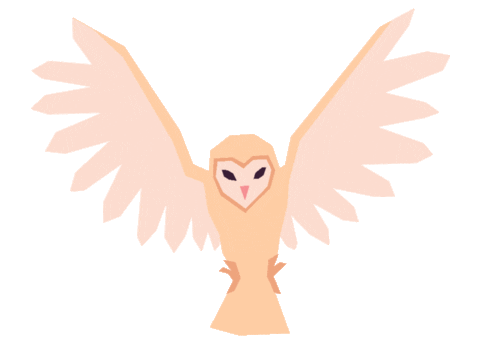 Barn Owl Gif Animated