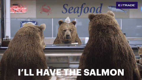 The Salmon GIFs - Get the best GIF on GIPHY