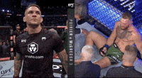 Ufc Broken Leg Gif