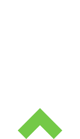 Acorns GIFs on GIPHY - Be Animated