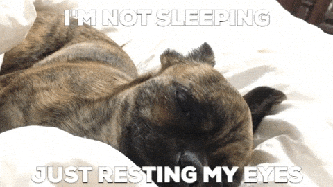Im Not Sleeping GIFs - Get the best GIF on GIPHY