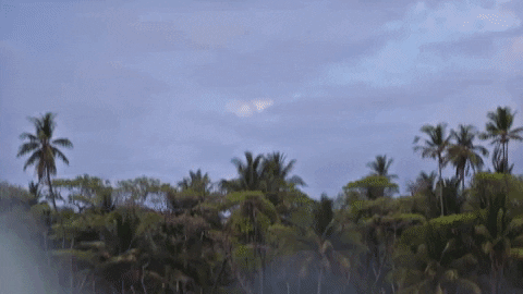 Costa Rica Pacific Oean GIF by Chris Cubellis - Find & Share on GIPHY