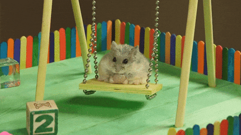 Hamster Swing GIFs - Get the best GIF on GIPHY