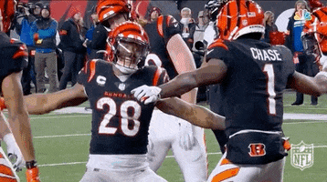 Top 10 GIFs From Super Wild Card Sunday! by Sports GIFs | GIPHY