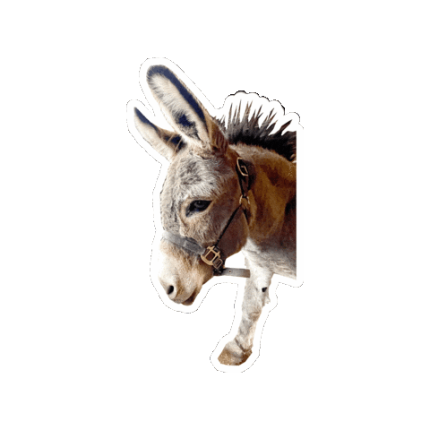 OGR Characters GIFs on GIPHY - Be Animated