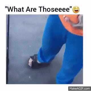 What Are Those GIFs - Get the best GIF on GIPHY